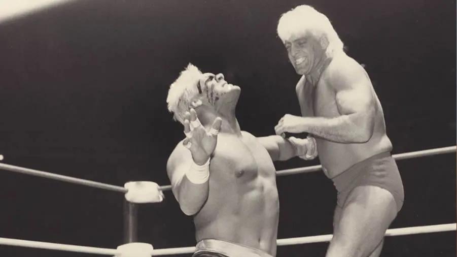 How Ric Flair Won His 16 Recognised World Titles