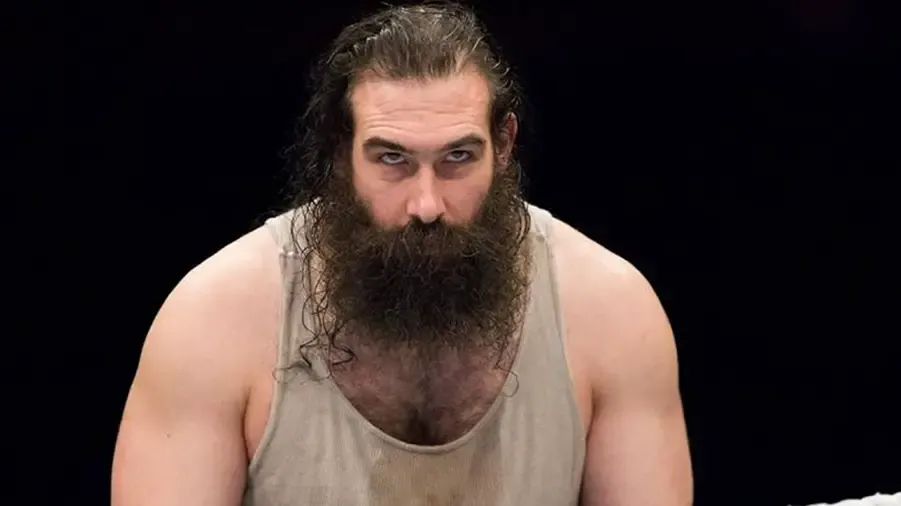 Details Of Scrapped Luke Harper WWE Feud Reportedly Revealed