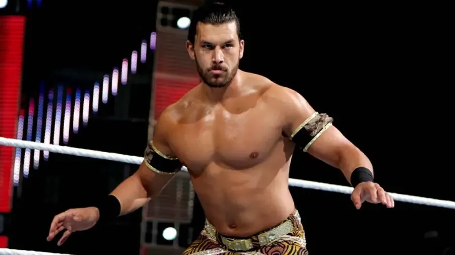 WWE Releases Fandango, Ever-Rise