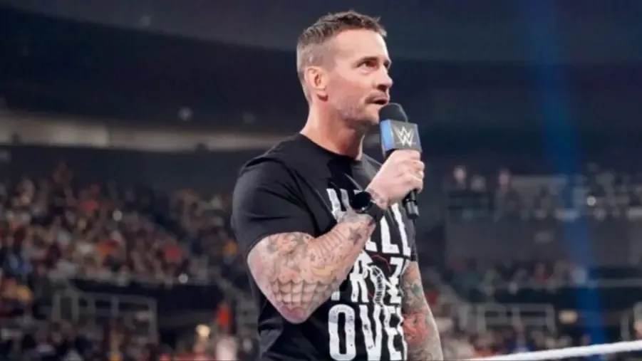 CM Punk References "Punching People In The Face Backstage" During WWE ...