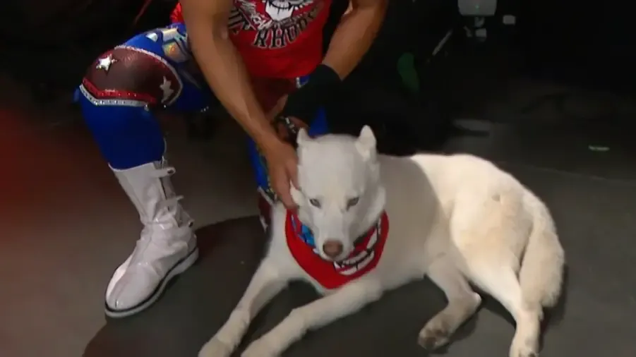 Pharaoh Makes WWE Debut On Raw