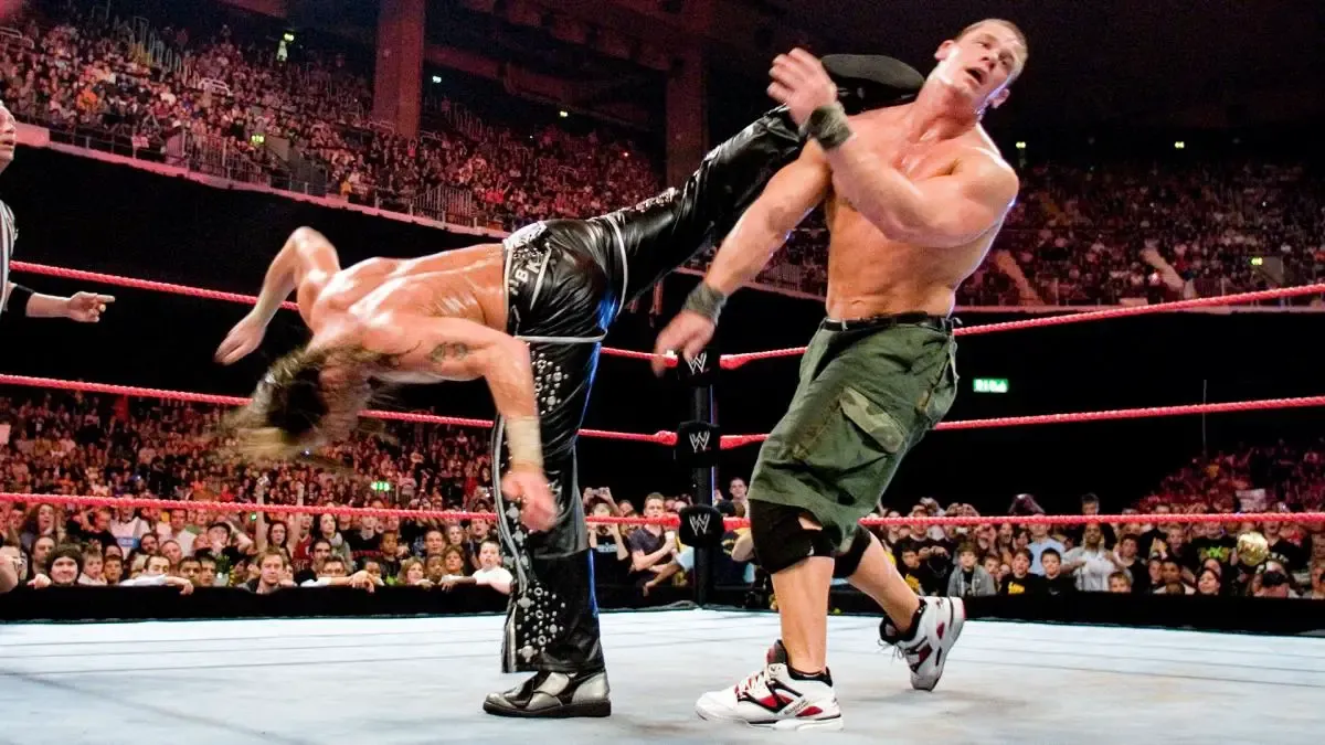 10 Best WWE Finishing Moves